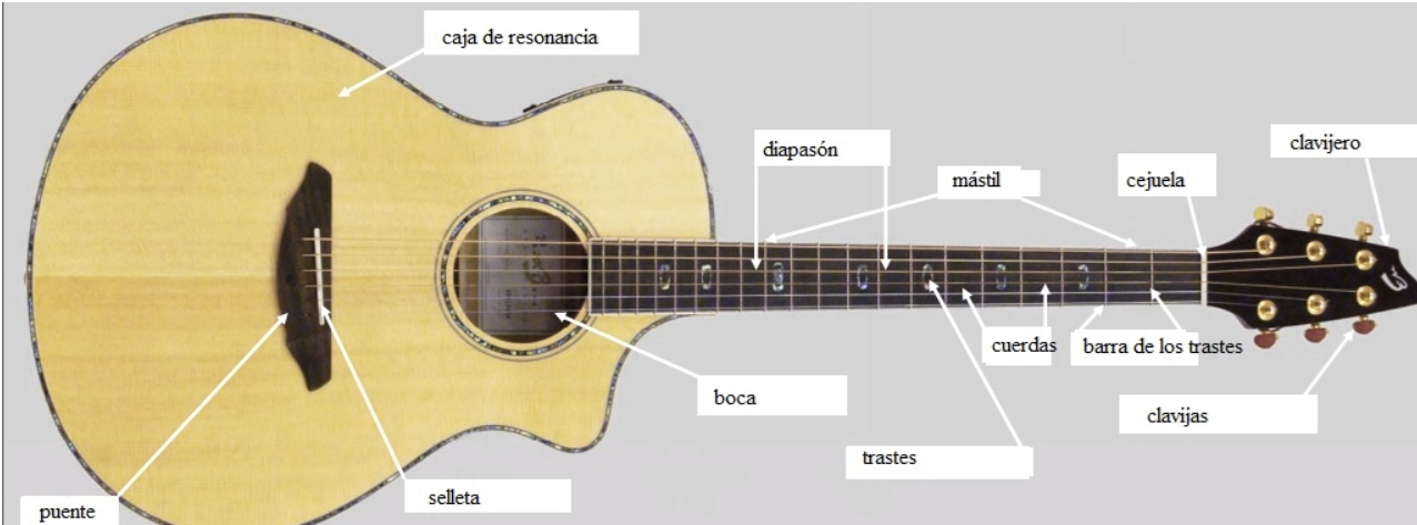 Partes y estructura de una guitarra - Royal School of Music